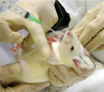 Doguc 2013: Effects of maternally exposed colouring food additives on ...